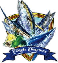 Captain Conch Charters | Fishing Charters in Key West, FL