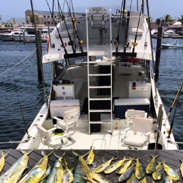 Captain Conch Charters | Fishing Charters in Key West, FL